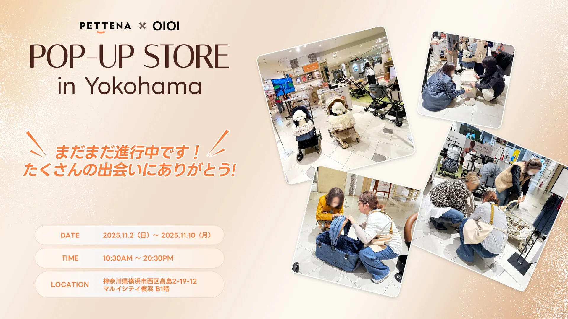 PETTENA POP-UP STORE in 横浜：ご好評につき、残り3日となりました！