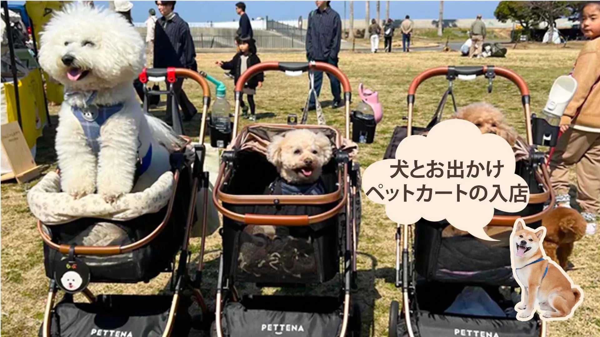 ペットカートで店に入れる？OKなお店と守るべきルールを解説｜PETTENA