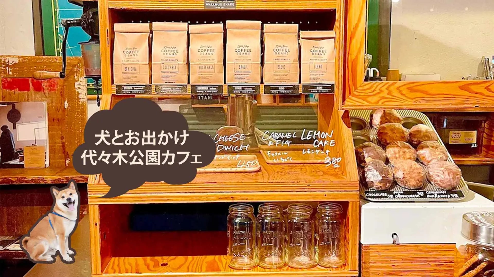 代々木公園周辺の犬OKカフェ9選【犬とお出かけスポット】｜PETTENA
