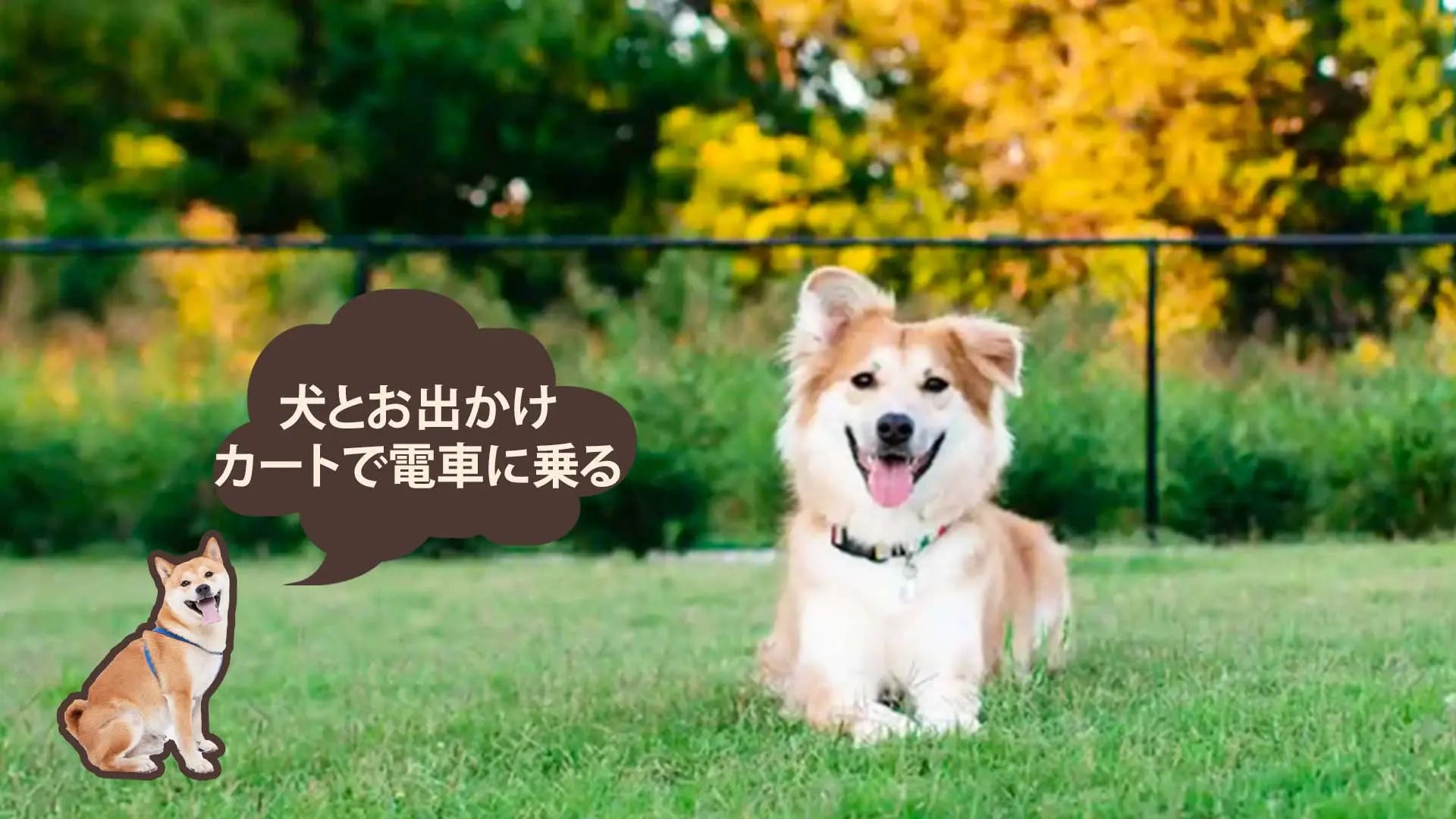 ペットカートでJR電車に犬や猫と乗るのはOK？ルールと注意点｜ぺテナ