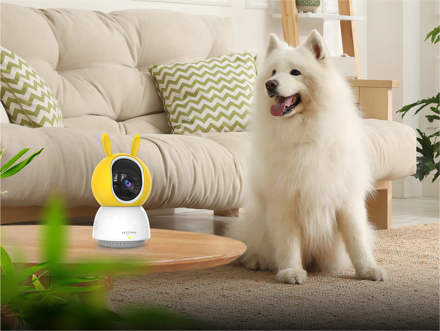 pettena-人とペットの生活をより幸せに