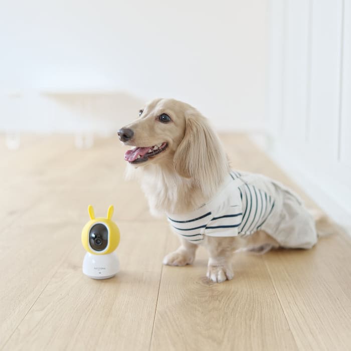 ペット見守りカメラ 小型 360度動体追跡｜PETTENA（ぺテナ）