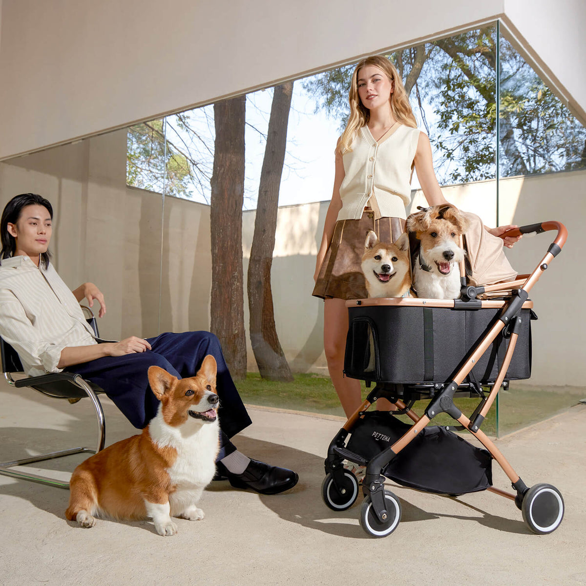 【コスパ最強4WAY】KNIGHTペットカート｜多頭飼い・小型犬・中型犬に快適＆折りたたみ簡単｜PETTENA（ぺテナ）公式