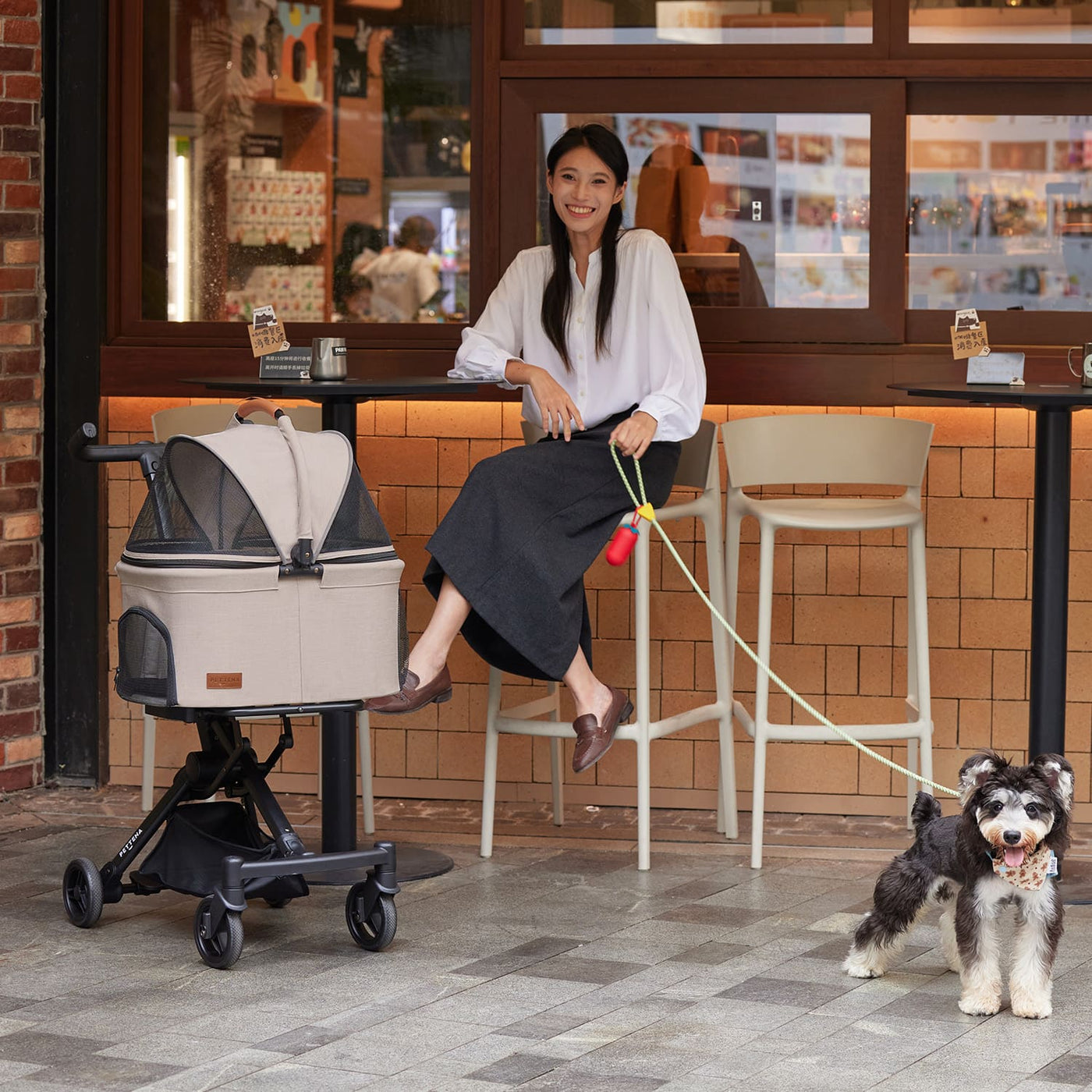 PETTENA 小型犬 軽量 コンパクト 折りたたみ式ペットカート PETITE｜A4サイズに折りたためる超コンパクト・電車移動も快適