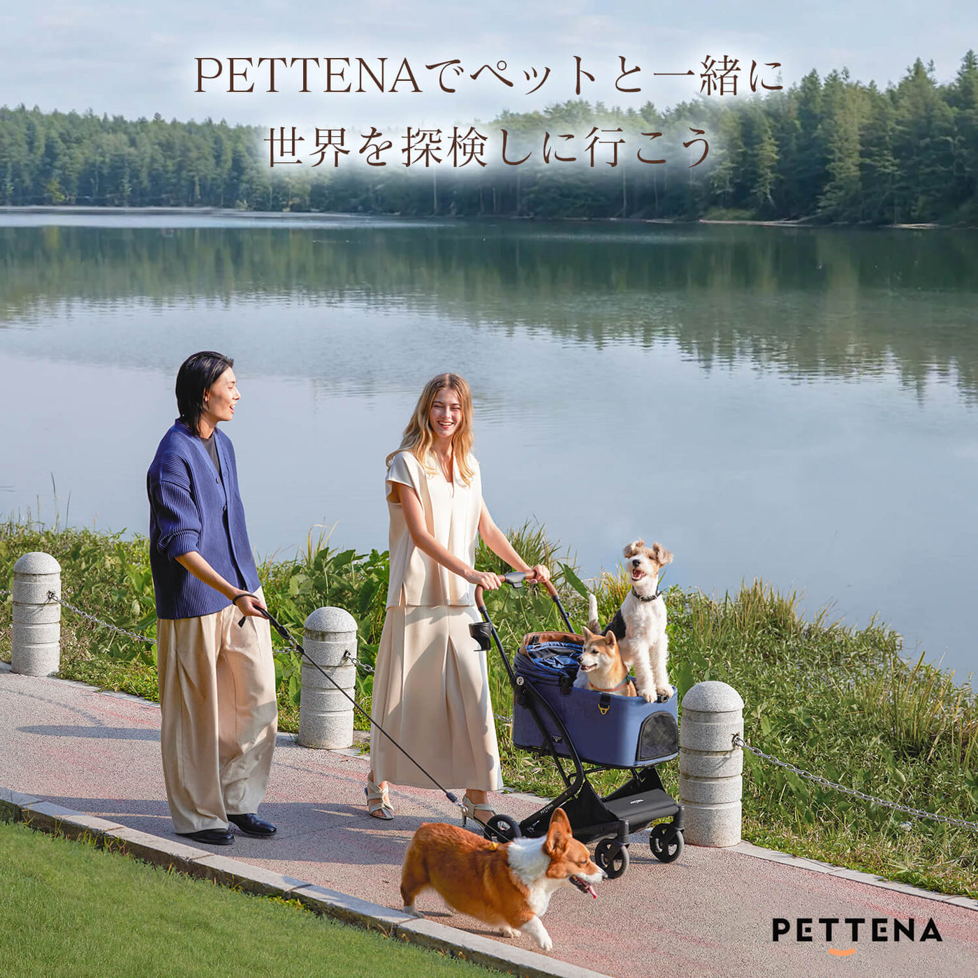 【軽量・折りたたみ】犬猫用ペットカート人気ラインナップ｜PETTENA公式